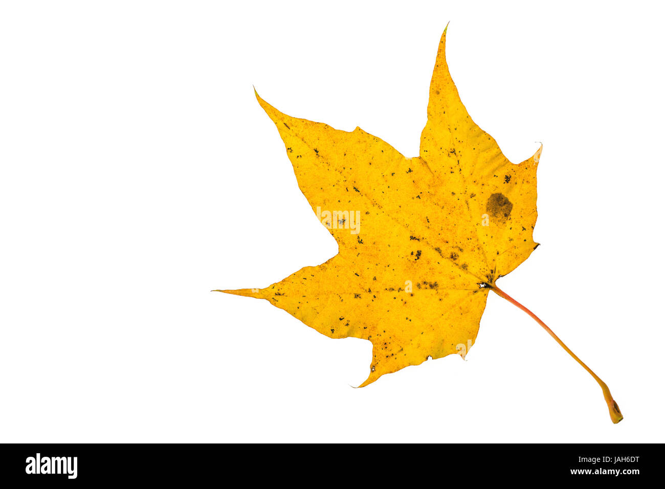 Beautiful landscape in colors Cut Out Stock Images & Pictures - Alamy