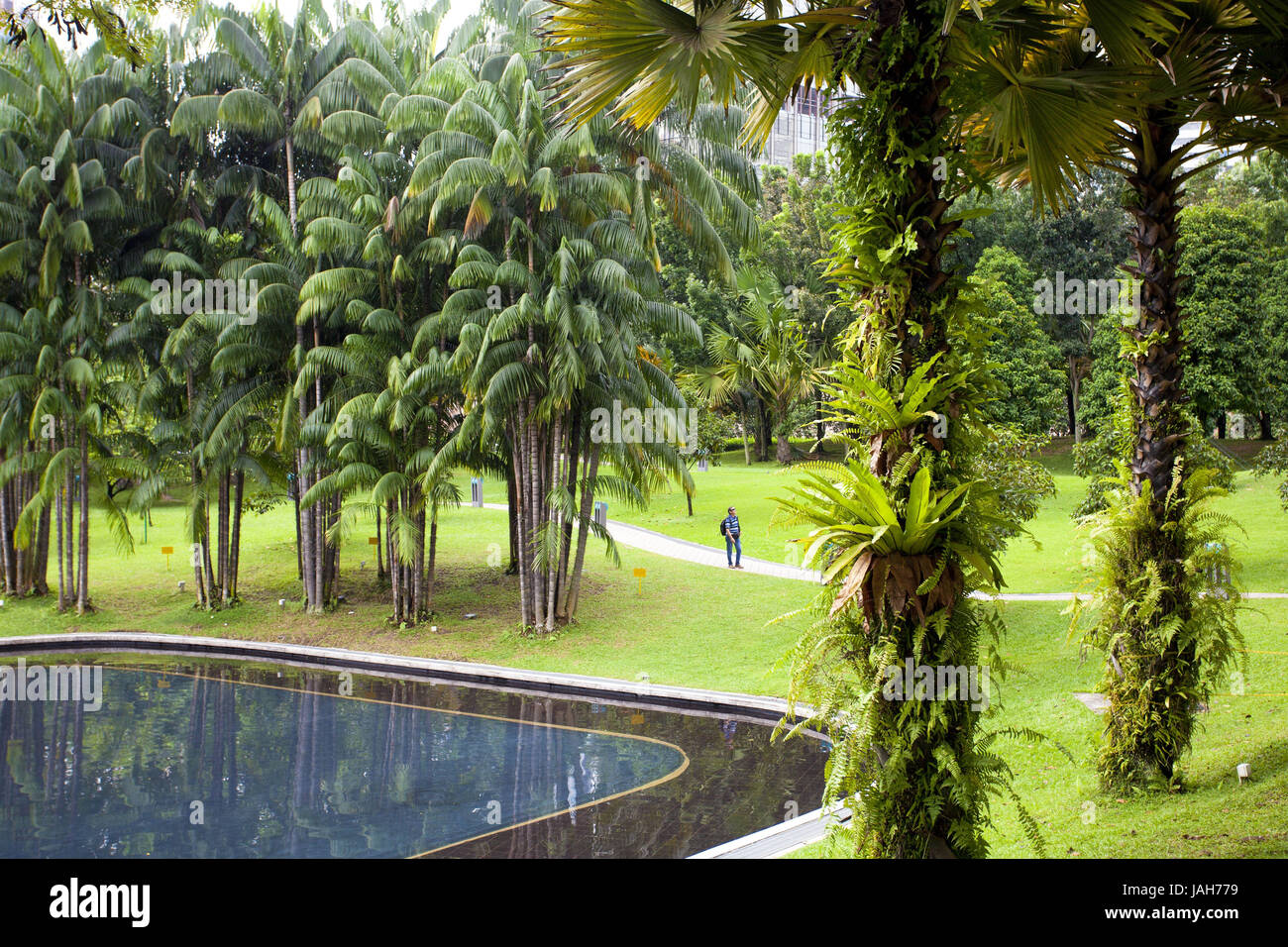 Malaysia,Kuala Lumpur,Golden Triangle,park Stock Photo - Alamy