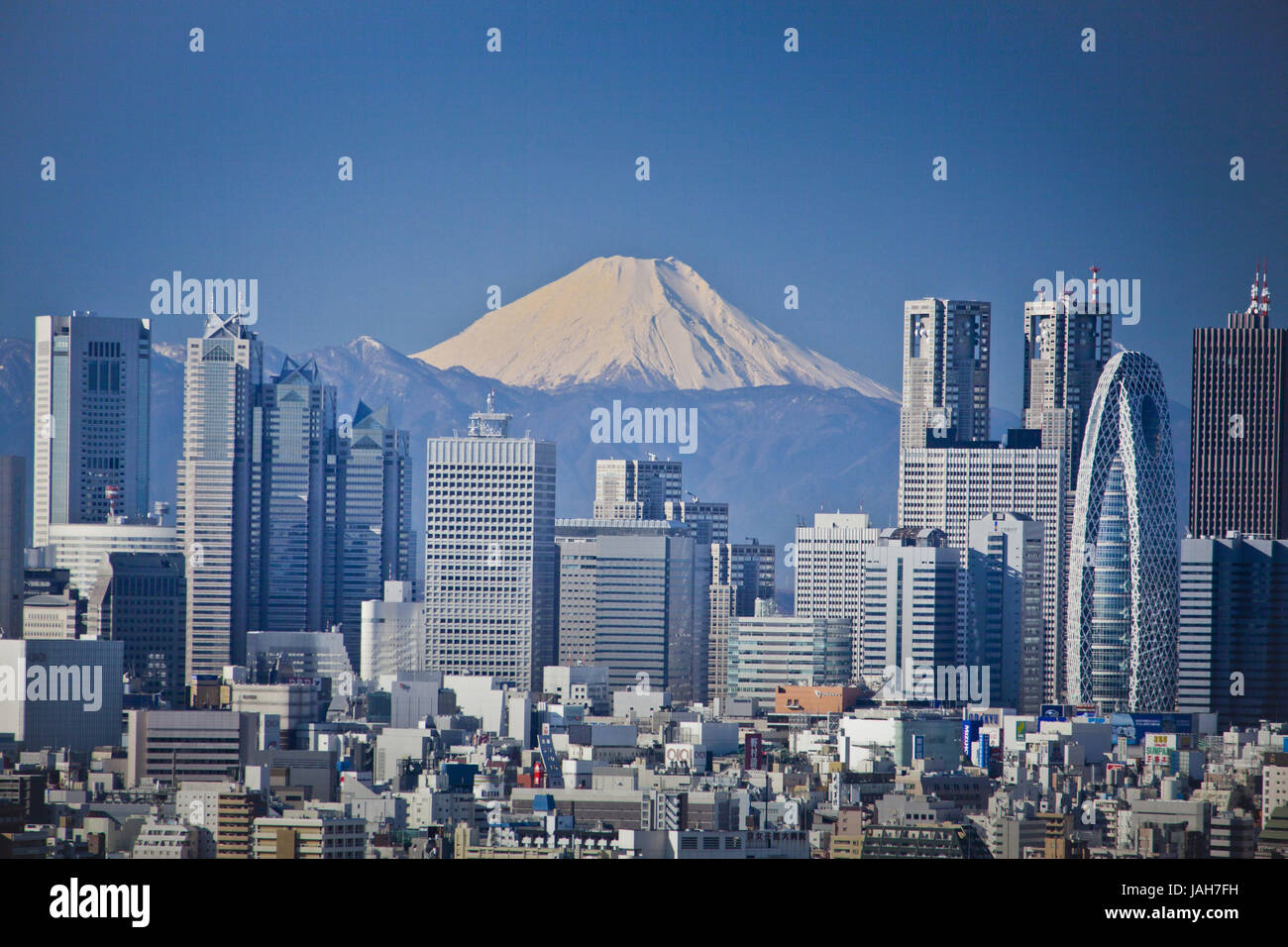 Japan,Tokyo,Shinjuku area and Mount Fuji Stock Photo - Alamy