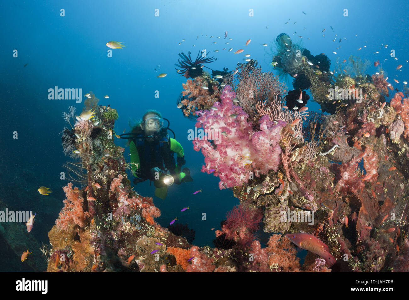 Diving in the Liberty wreck,Tulamben,Bali,Indonesia Stock Photo - Alamy