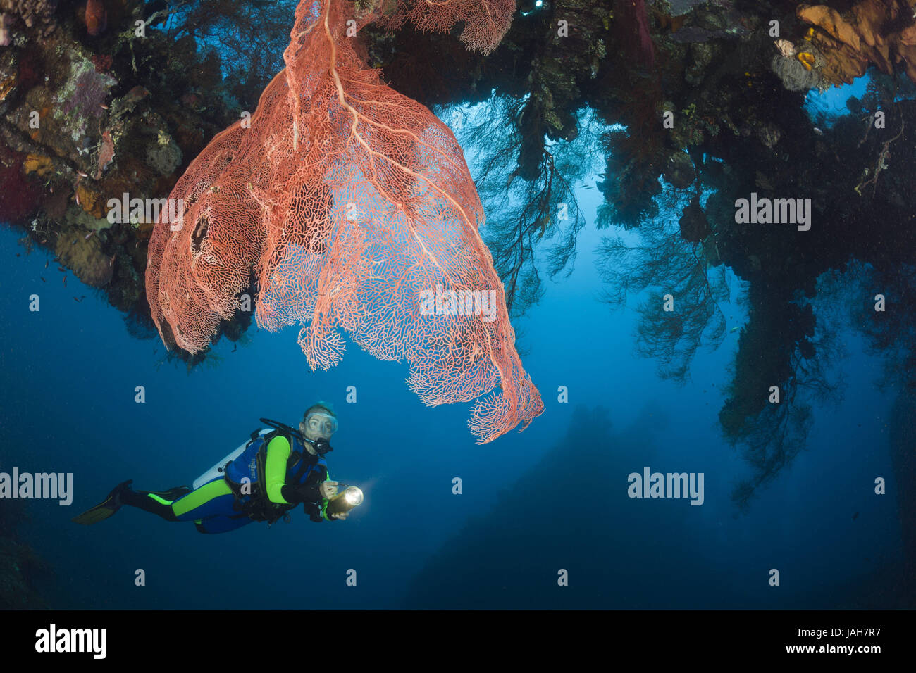 Diving in the Liberty wreck,Tulamben,Bali,Indonesia Stock Photo - Alamy