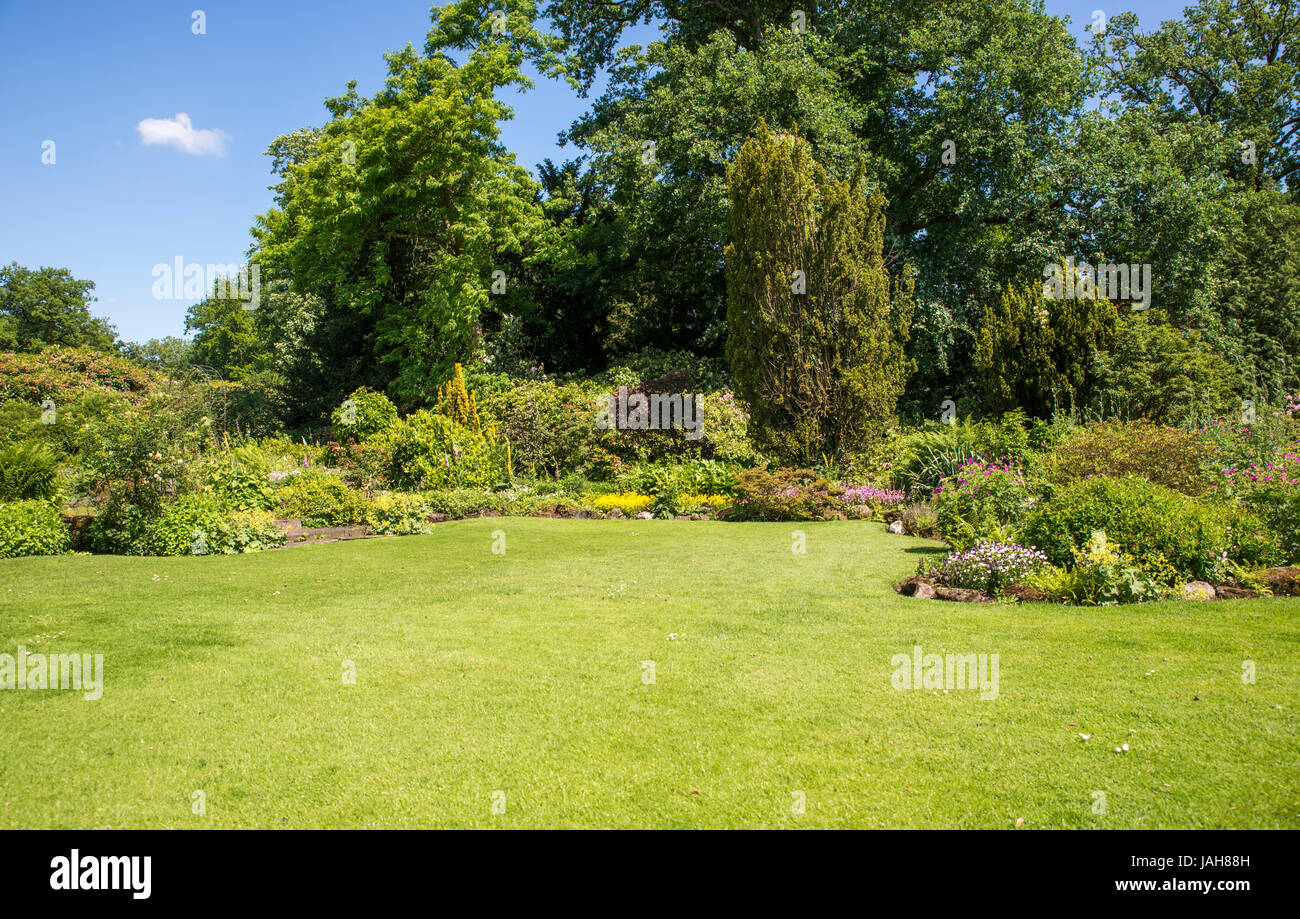 english garden with plants and flowers around green field of grass ...