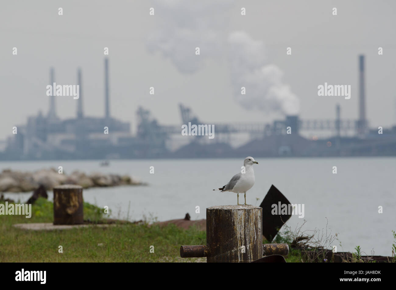 Zug island hi-res stock photography and images - Alamy