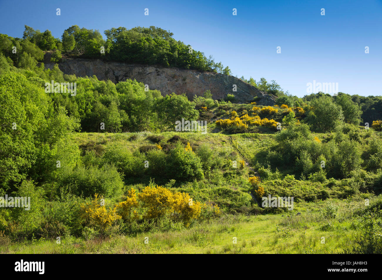 UK, England, Shropshire, The Wrekin, Ercall Wood Quarry, The ...
