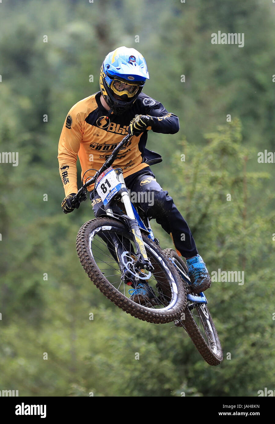 David trummer hi-res stock photography and images - Alamy