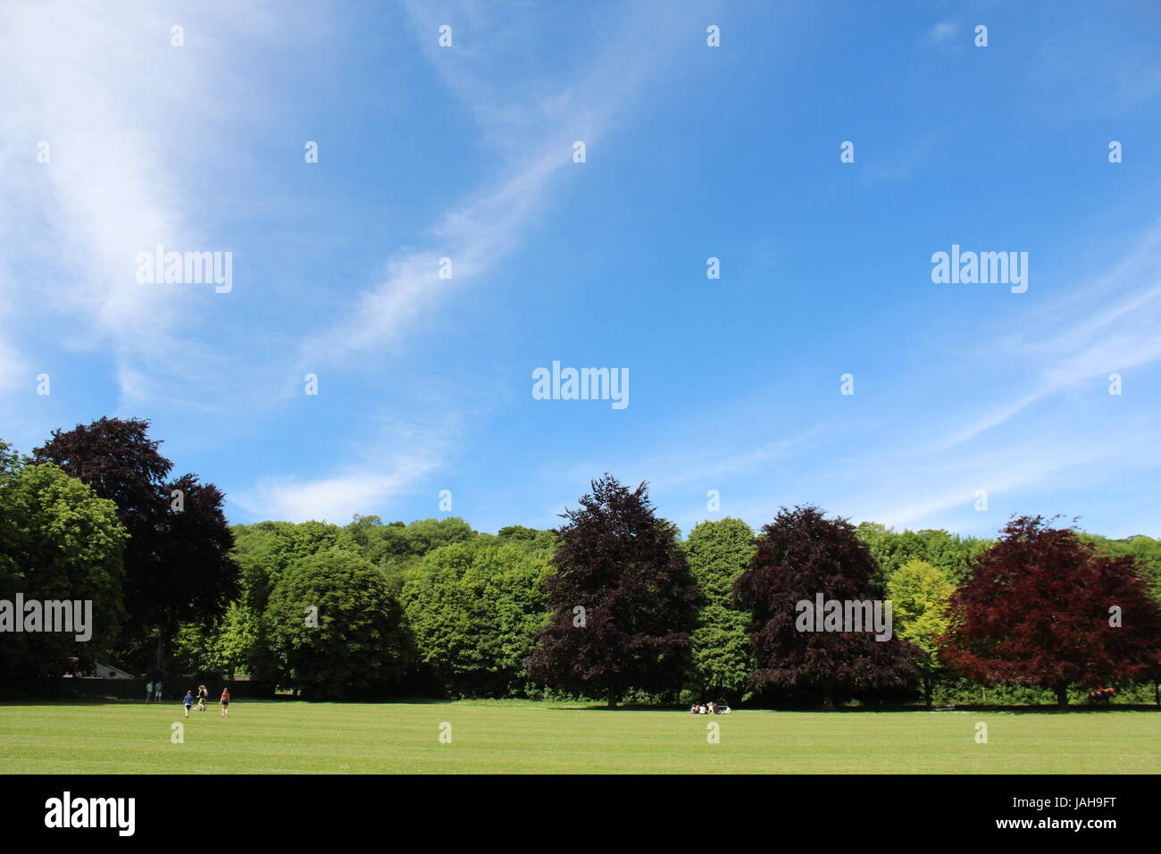 English green field play area with deciduous woodland behind and blue ...