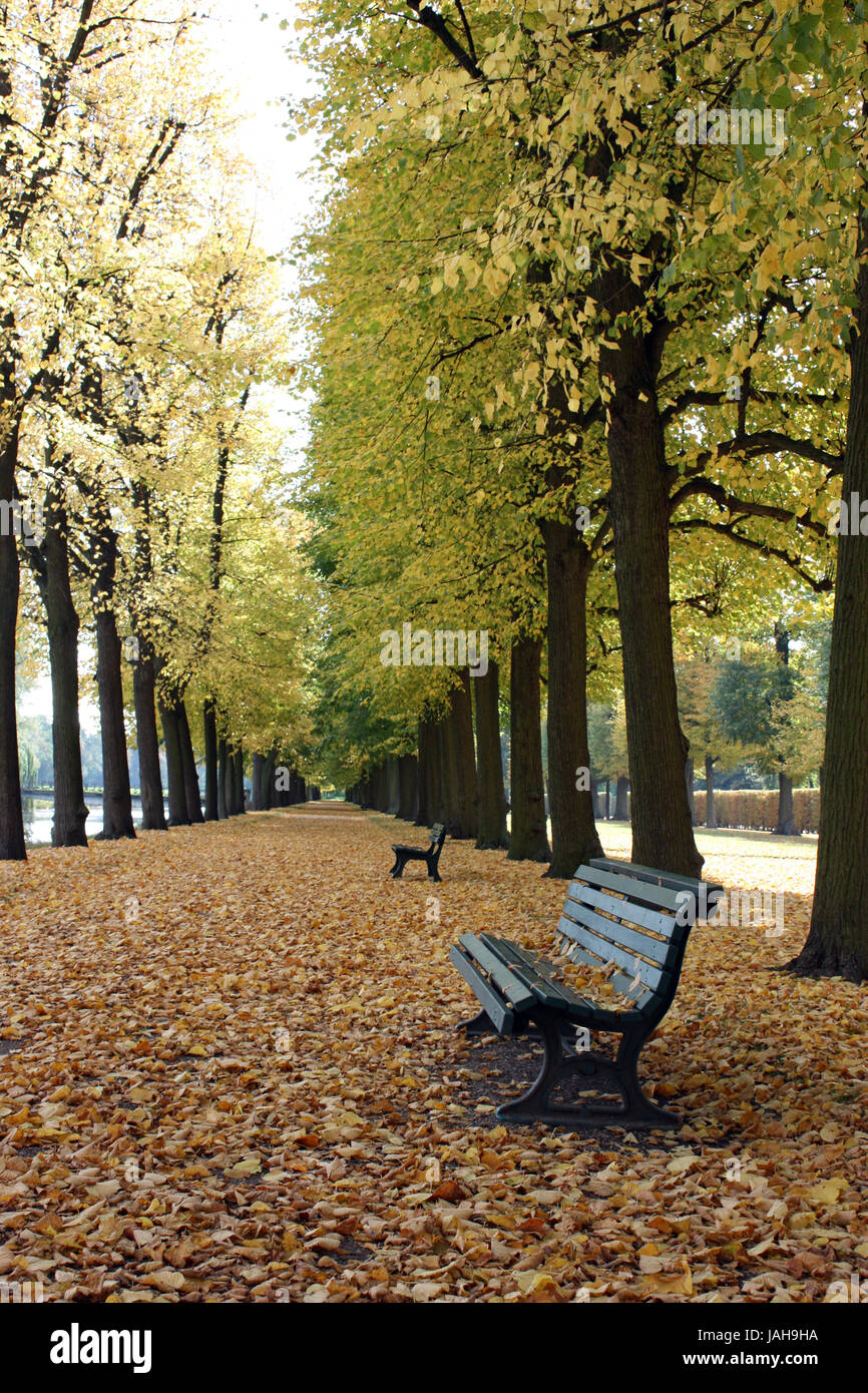 Chestnut walk away hi-res stock photography and images - Alamy