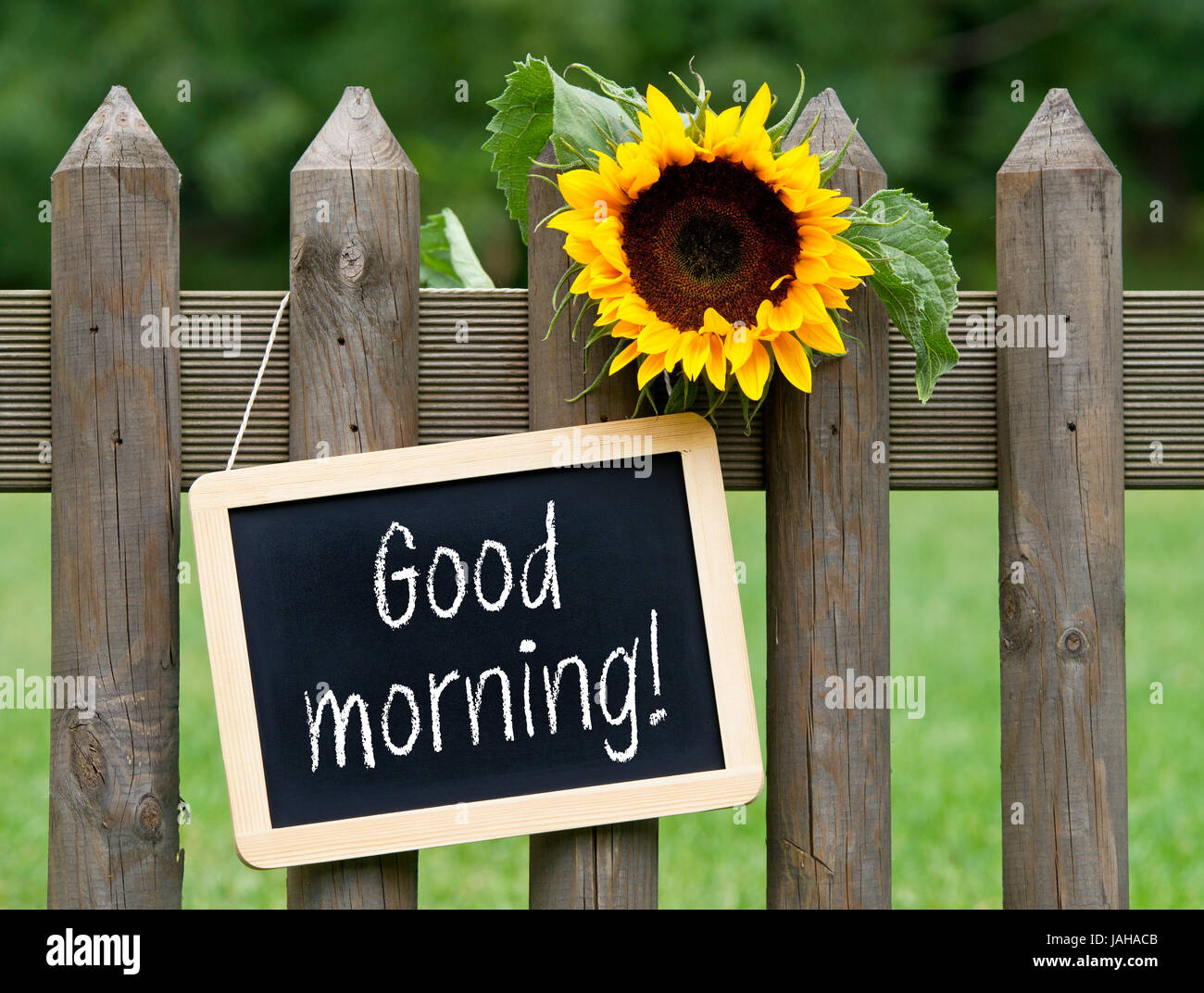 Good morning ! Stock Photo - Alamy