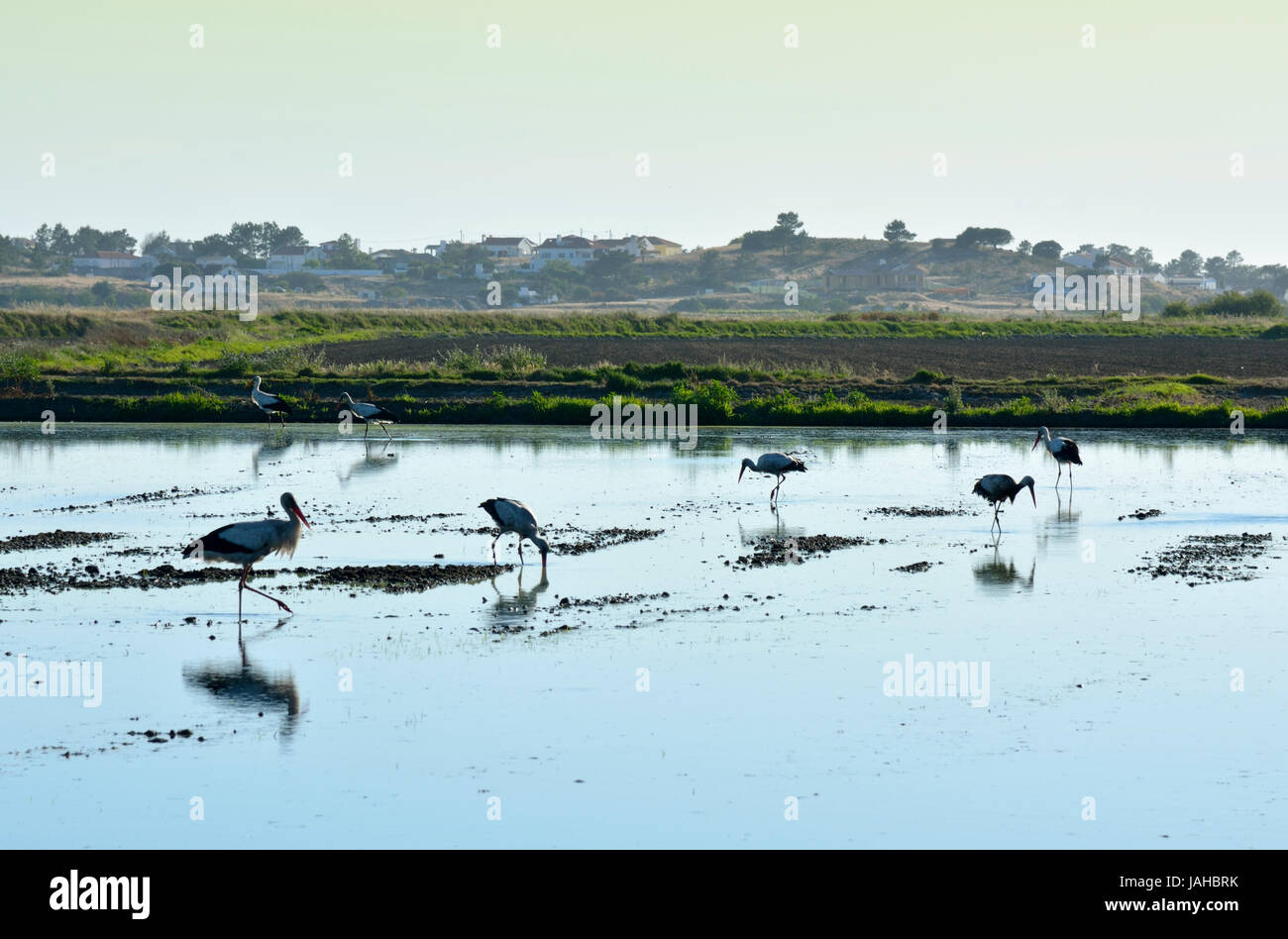 Melides lagoon hi-res stock photography and images - Alamy