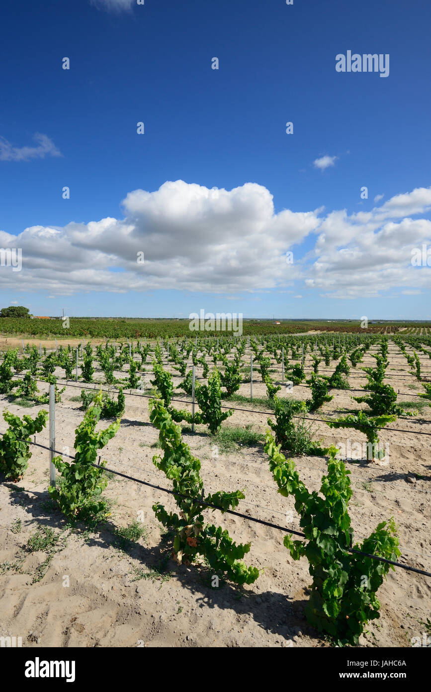 Fernando pó hi-res stock photography and images - Alamy