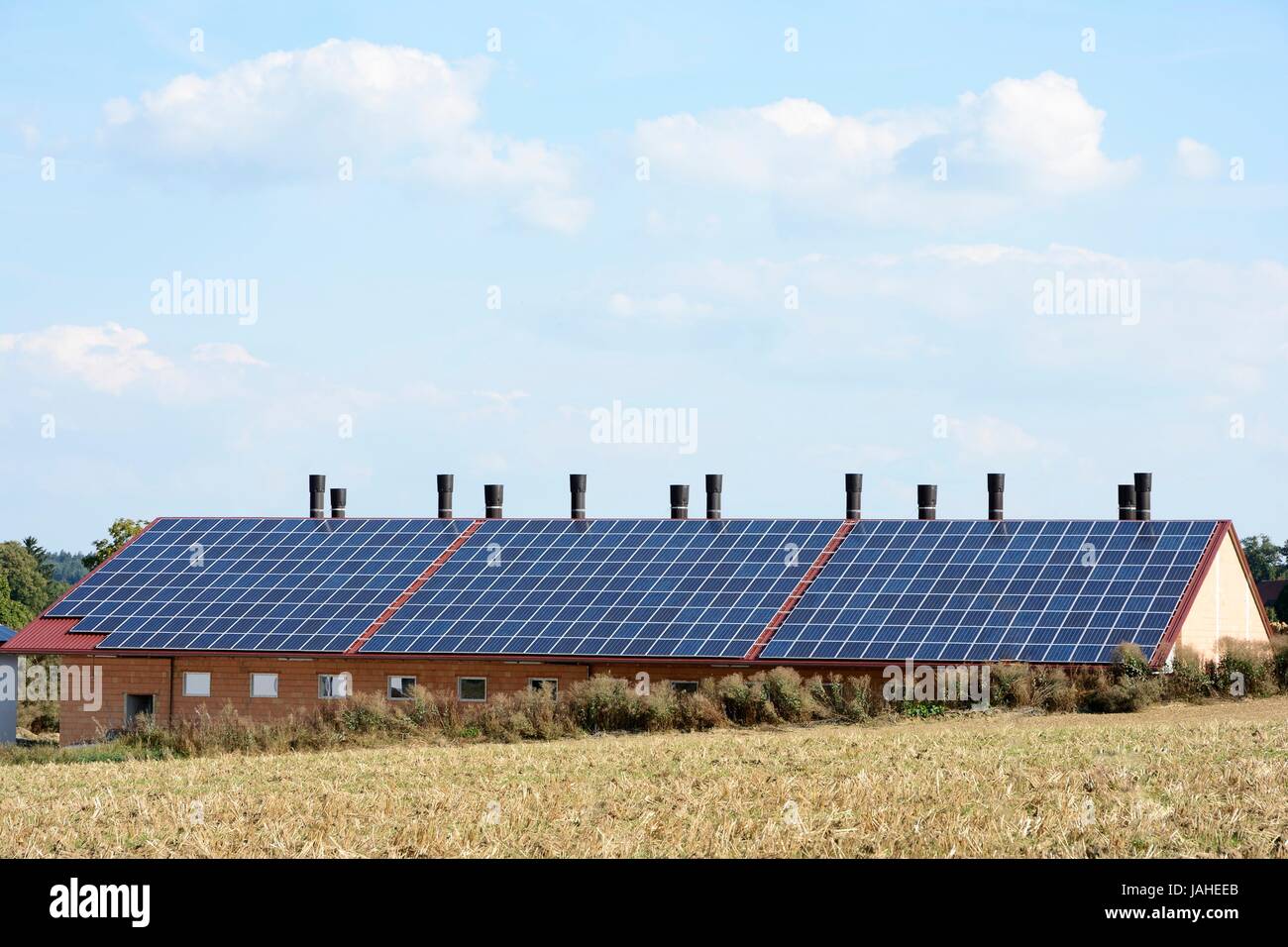 Barn of a farm with solar panels on the roof Stock Photo - Alamy