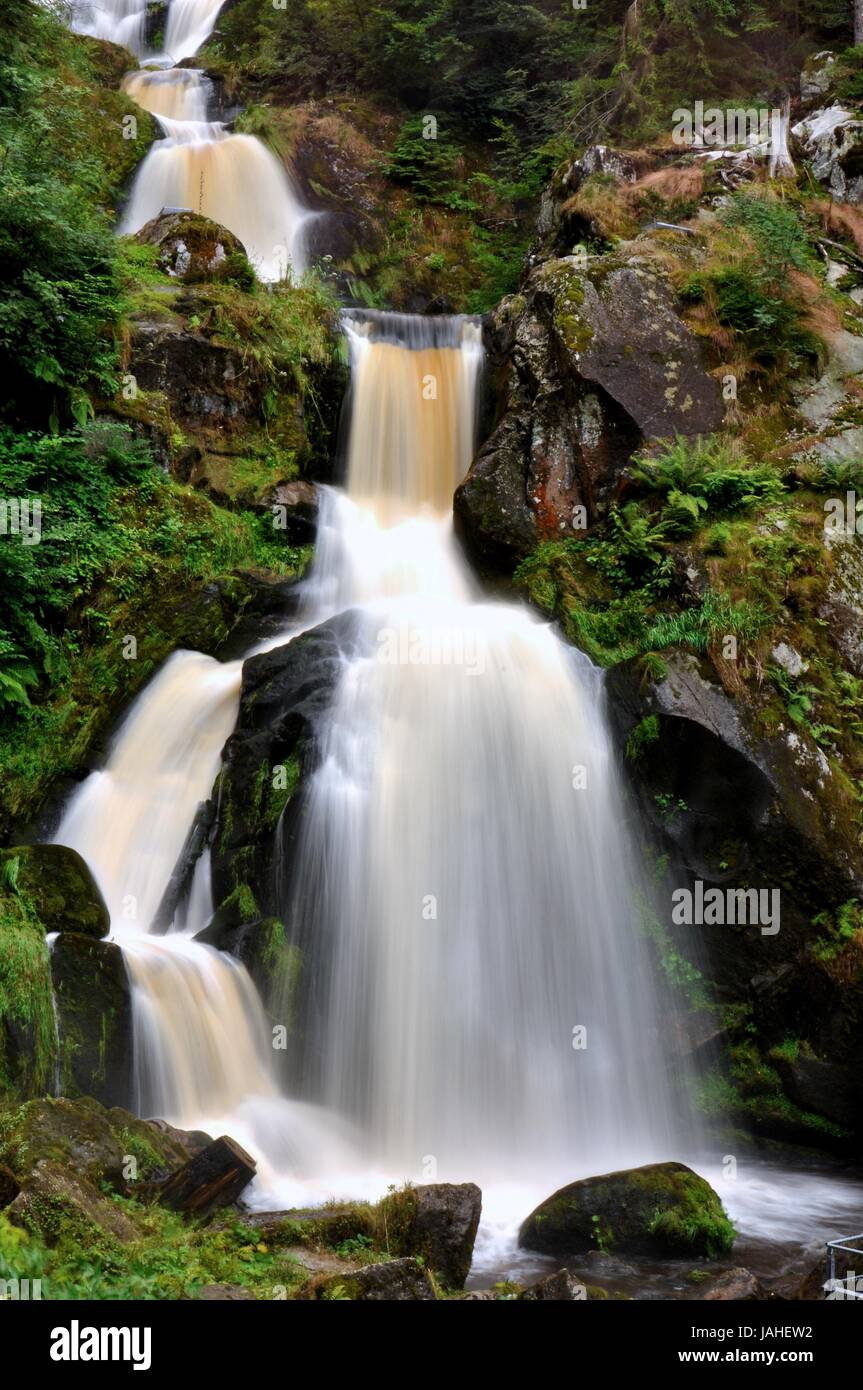 Bach wasserfall schwarzwald hi-res stock photography and images - Alamy