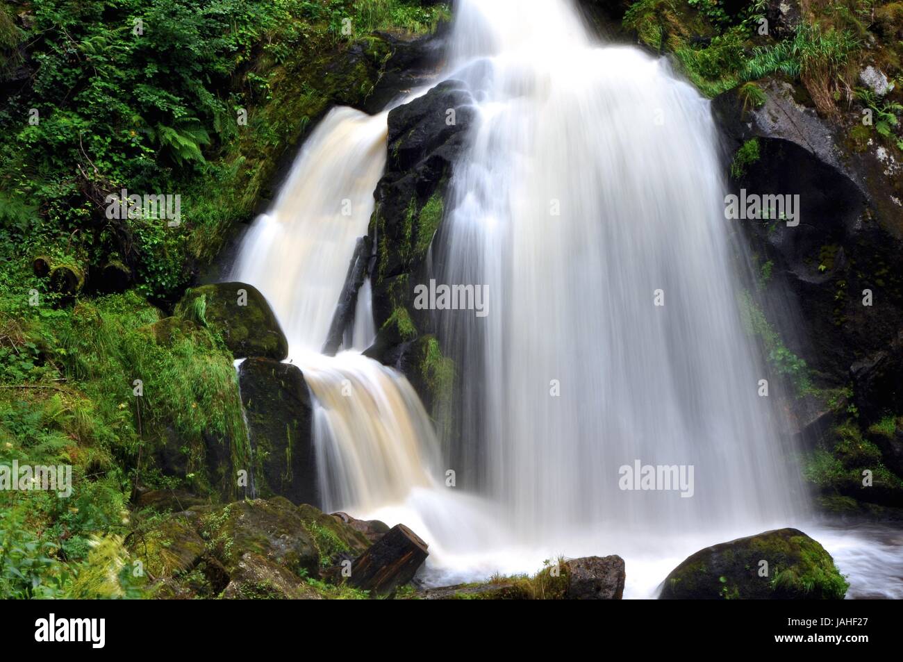 Bach wasserfall schwarzwald hi-res stock photography and images - Alamy