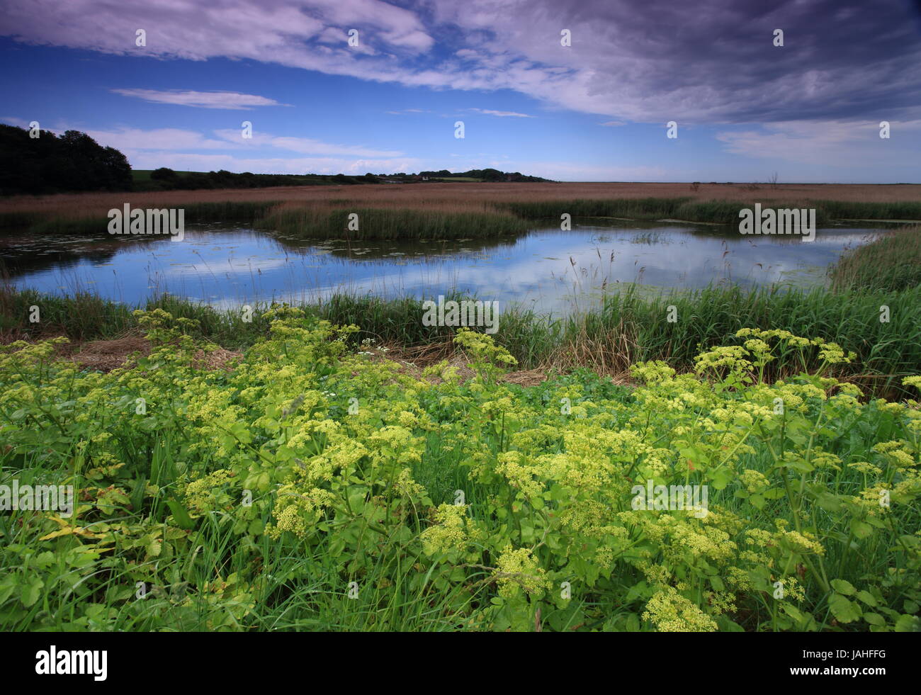 A view of Salthouse marshes nature reserve in North Norfolk Stock Photo ...
