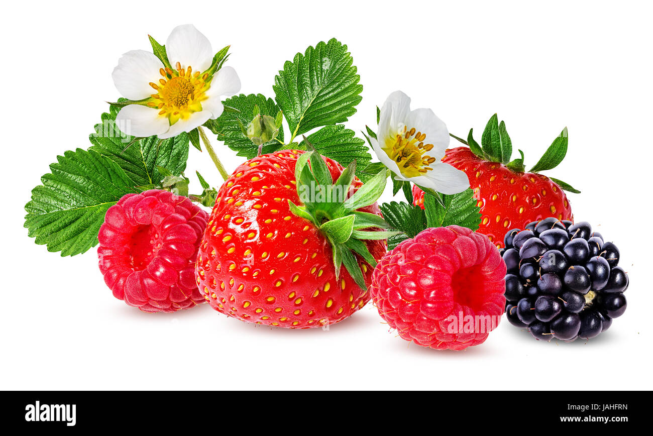 strawberry,raspberry,blackberry isolated on white background Stock ...