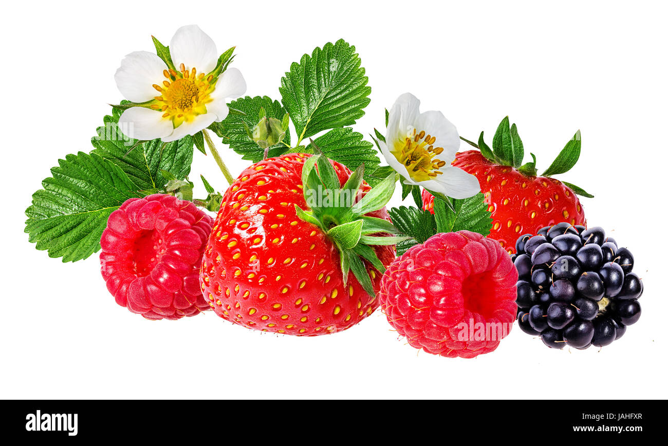 strawberry,raspberry,blackberry isolated on white background Stock ...