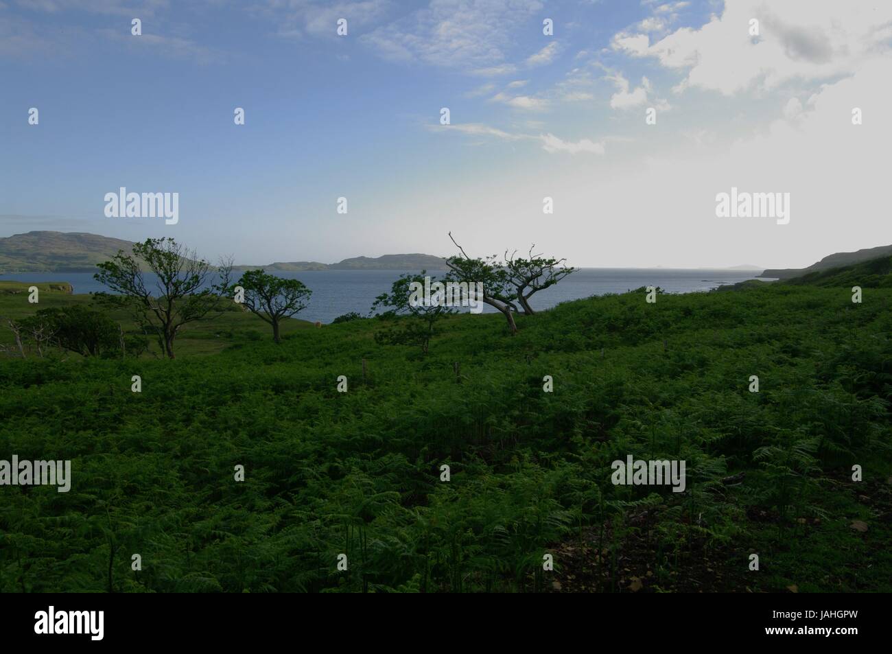 Loch Tuath, Torloisk, Isle of Mull, Scotland Stock Photo - Alamy