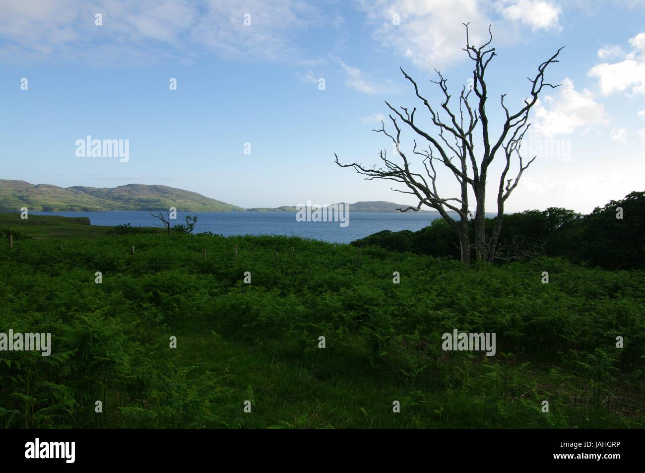 Loch Tuath, Torloisk, Isle of Mull, Scotland Stock Photo - Alamy