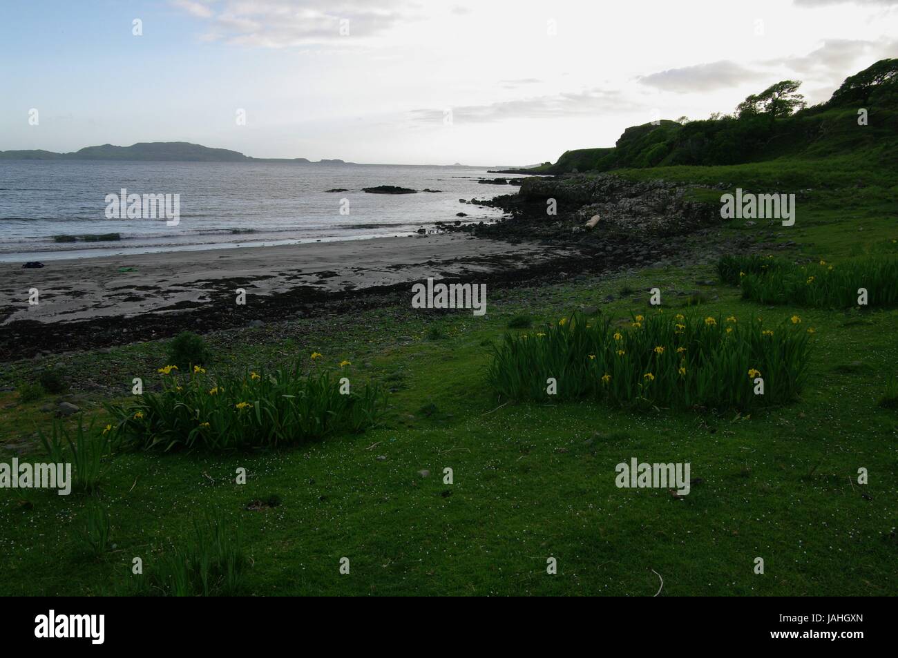 Loch Tuath, Torloisk, Isle of Mull, Scotland Stock Photo - Alamy