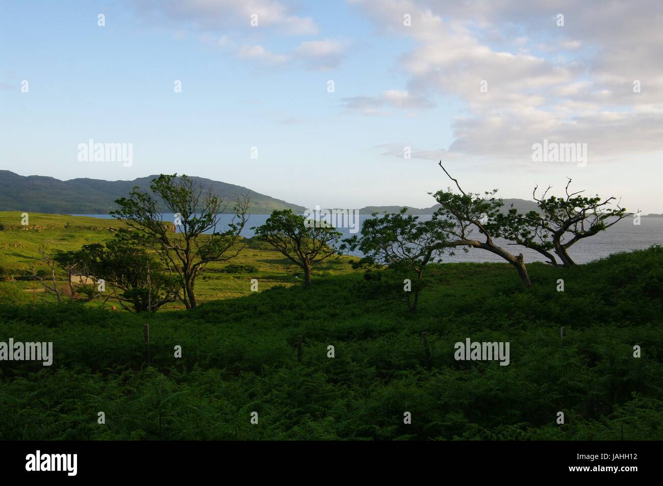 Loch Tuath, Isle of Mull, Scotland, UK Stock Photo - Alamy