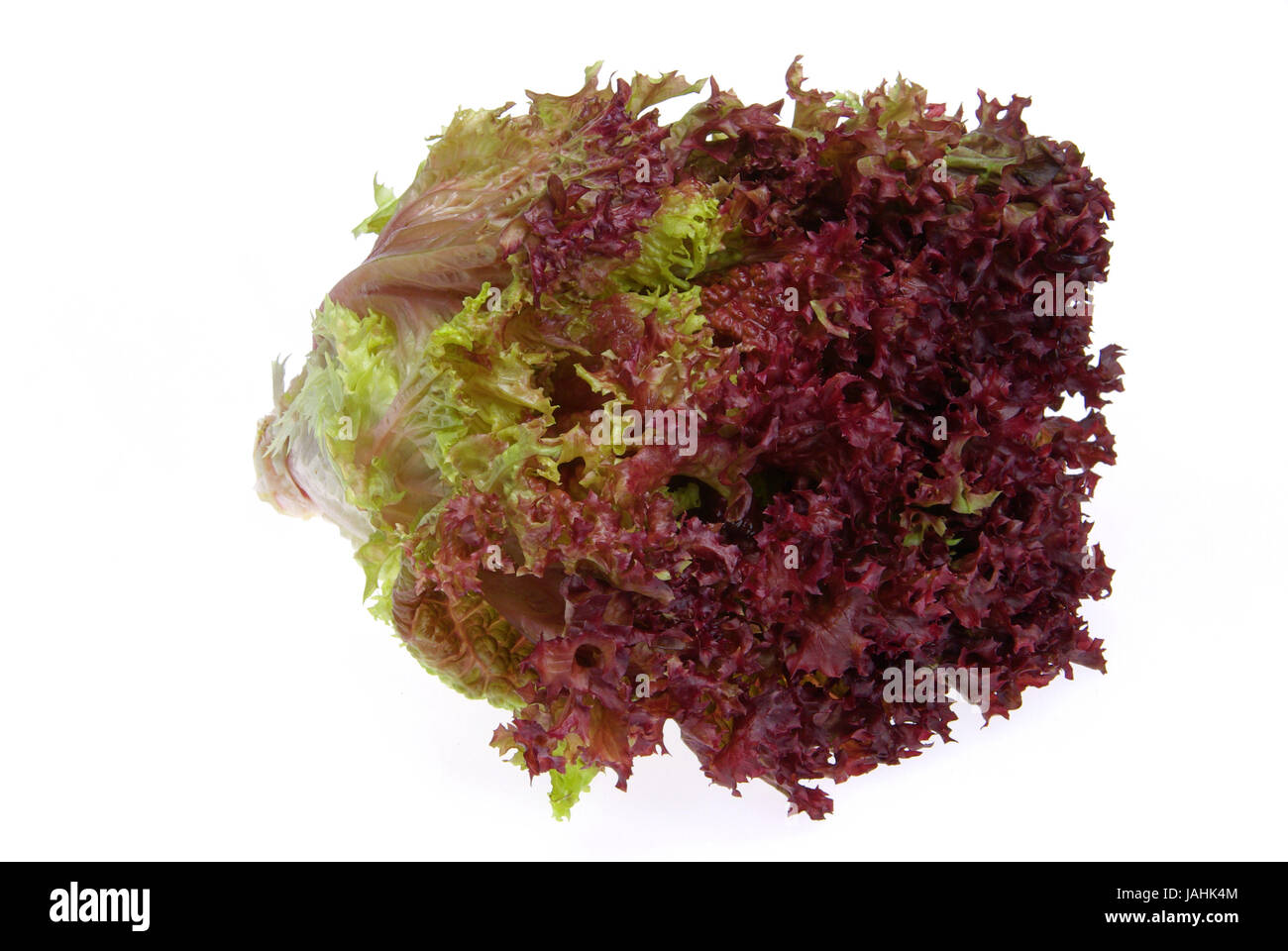 Lollo Rosso 09 Stock Photo - Alamy
