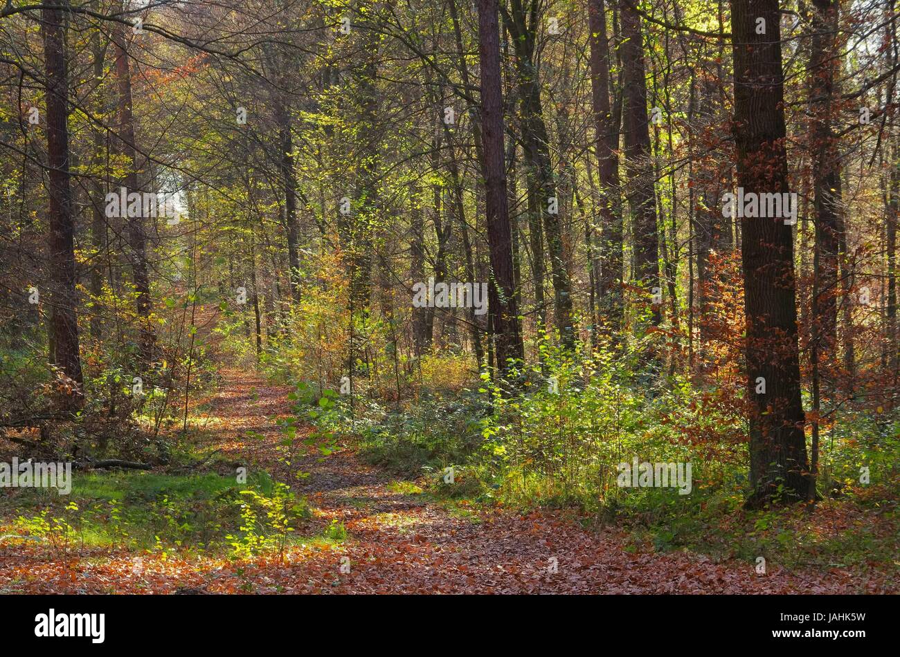 Wanderweg - hiking trail 11 Stock Photo - Alamy