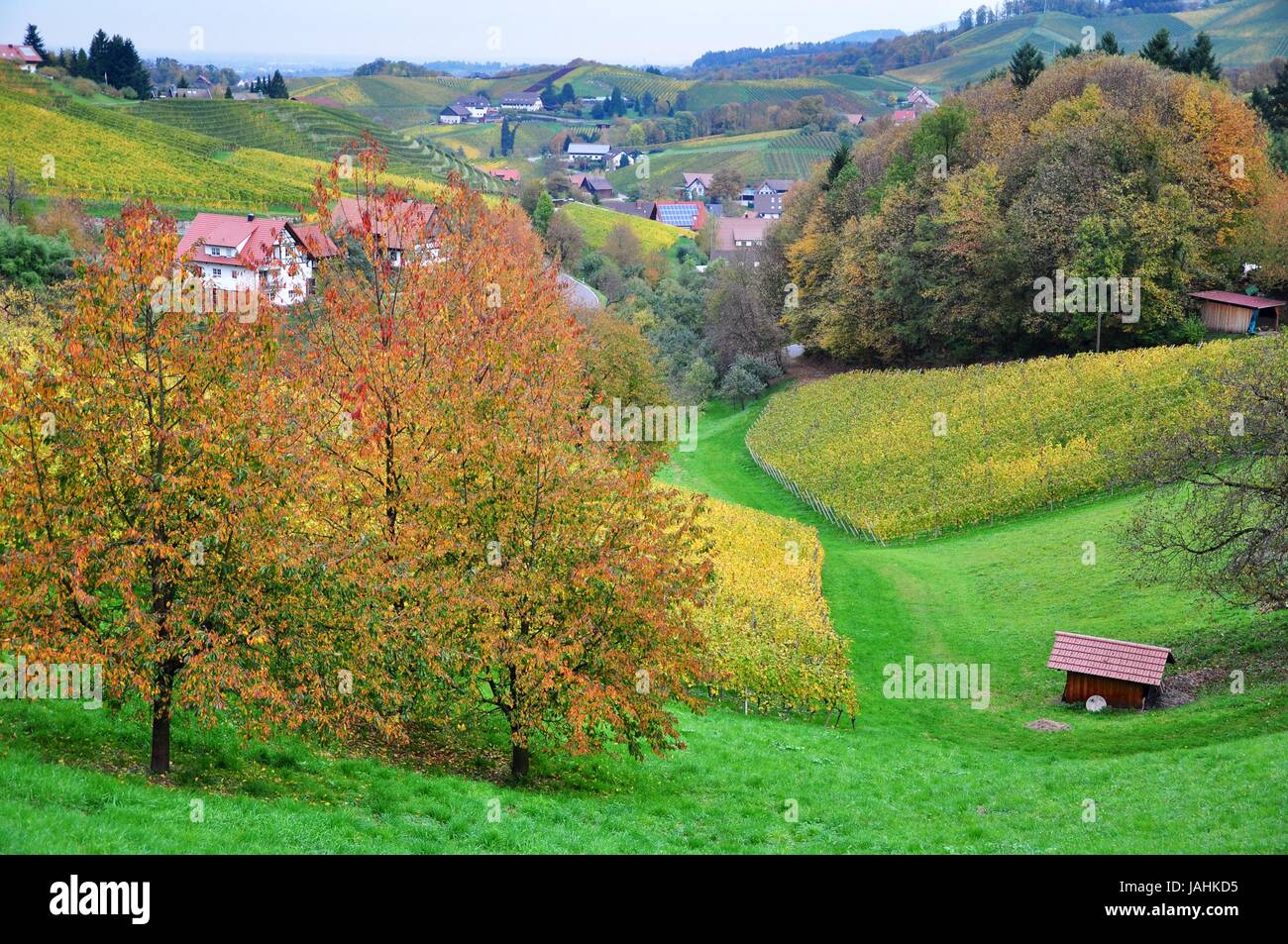 Ortenaugebiet hi-res stock photography and images - Alamy