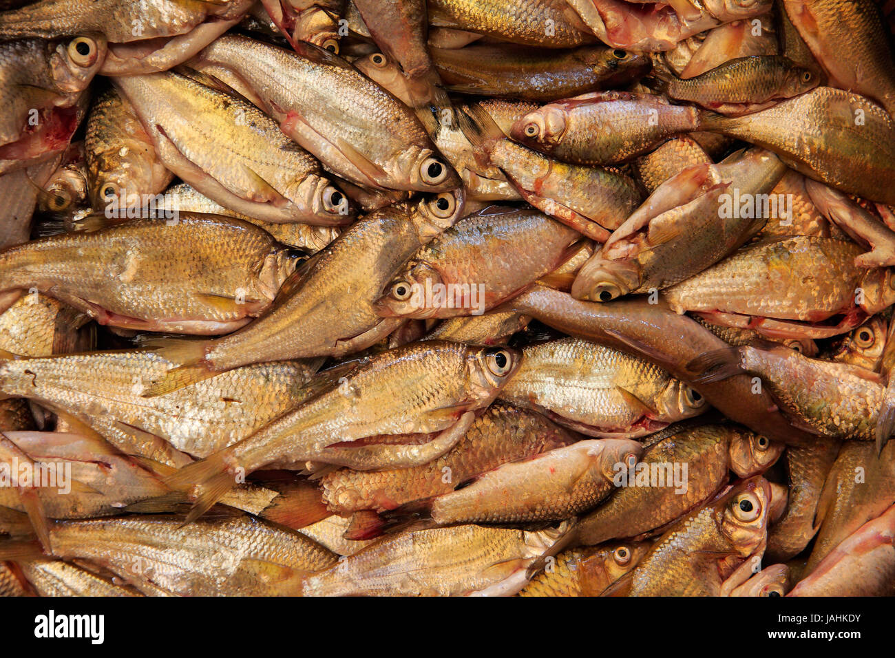 A catch of small fishes in a basket Stock Photo - Alamy