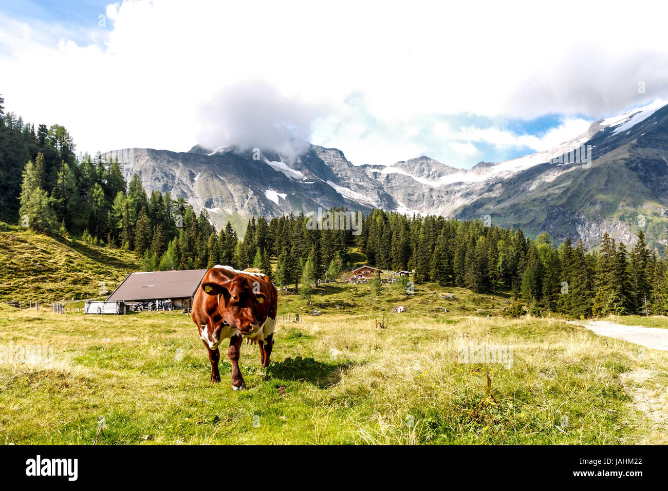 Berglandschaft in den Alpen; Mountain landscape in the Alps Stock Photo ...