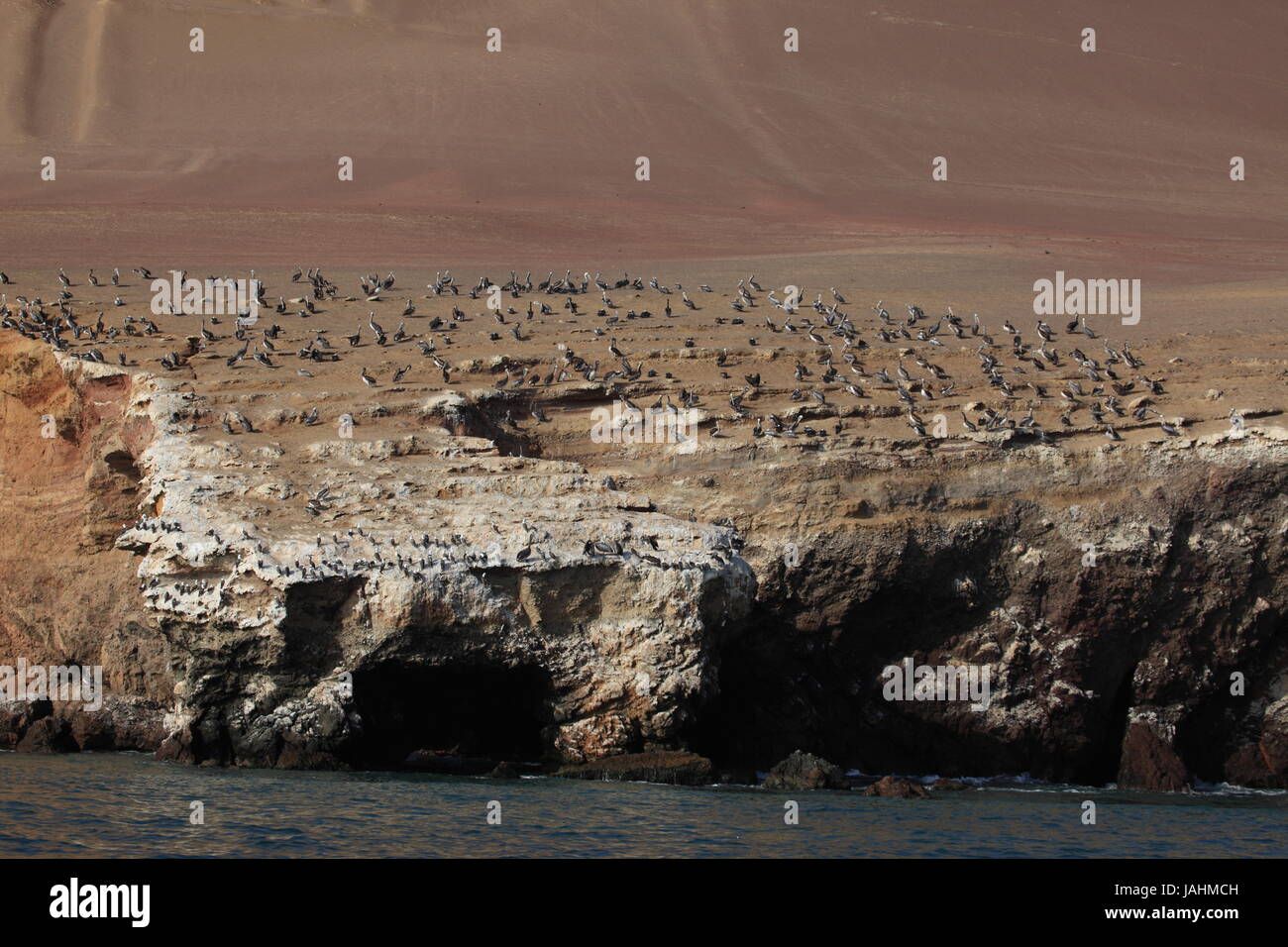 islas ballestas peru Stock Photo - Alamy