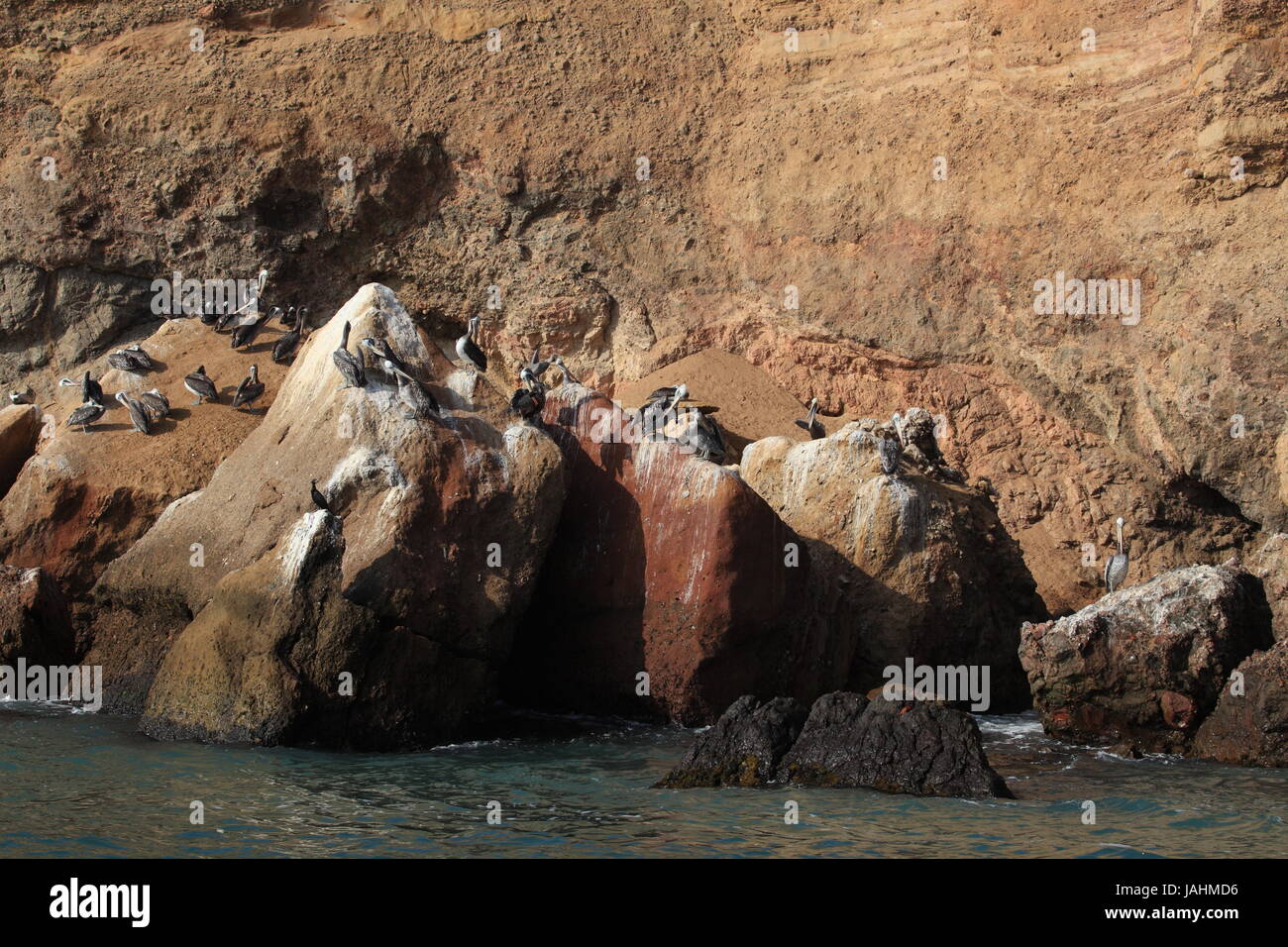 south america hick Stock Photo - Alamy