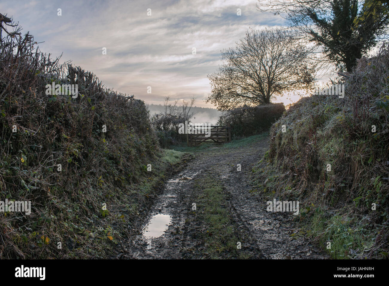 countryside track in winter Stock Photo - Alamy