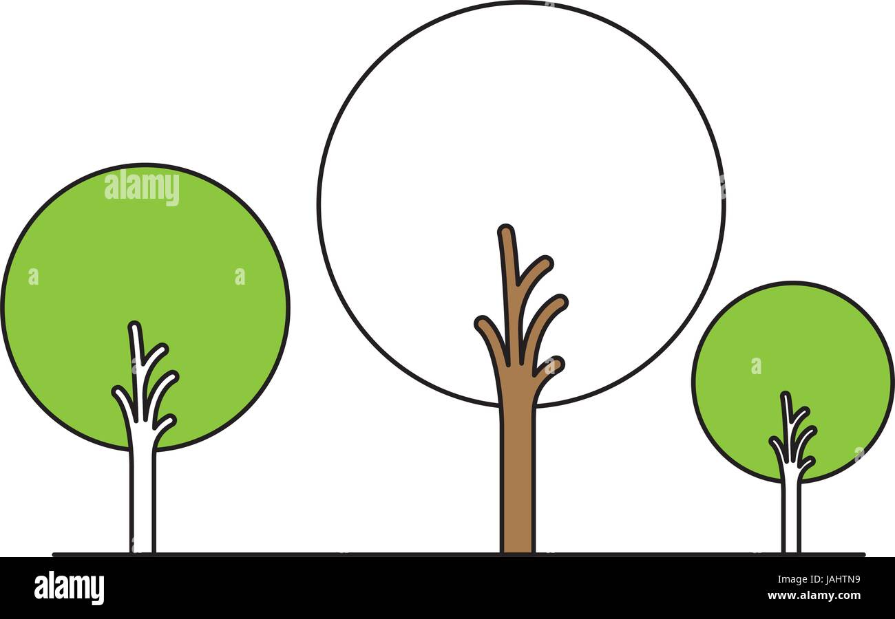 color sections silhouette of abstract trees set with foliage in round ...