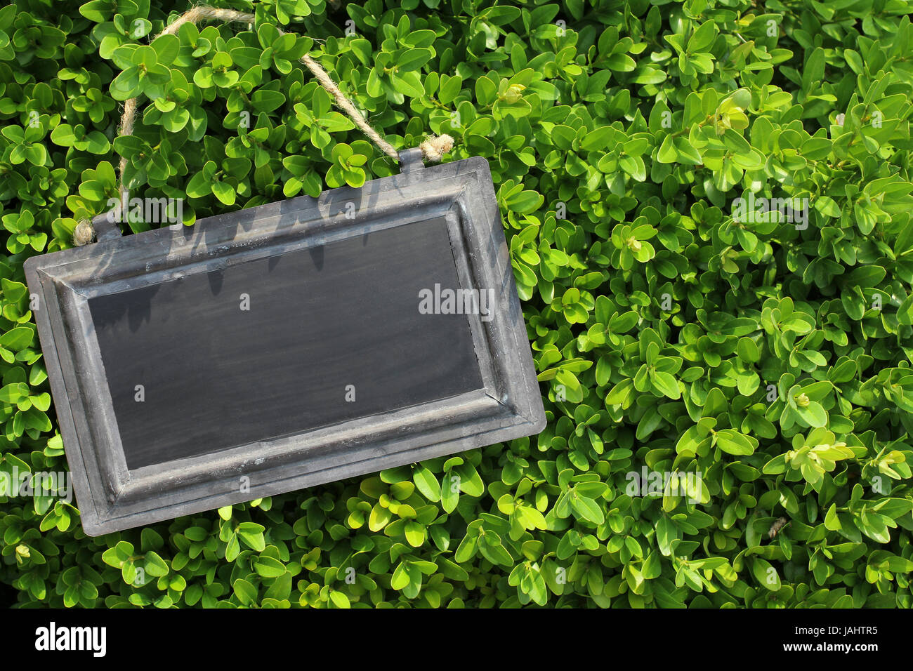 Garden signal box hi-res stock photography and images - Alamy