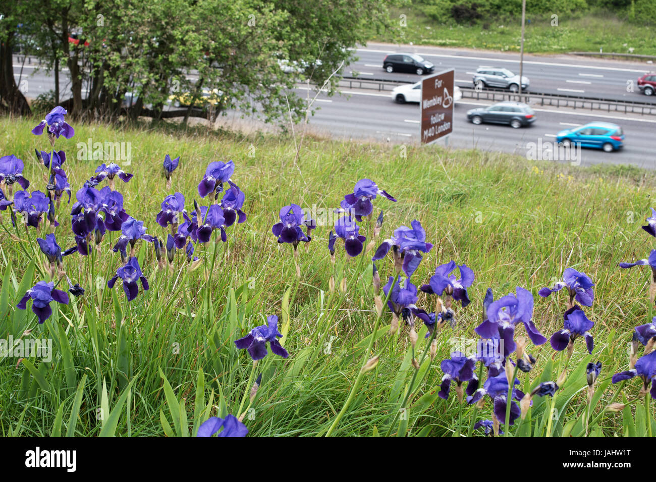 Motorway Embankment High Resolution Stock Photography and Images - Alamy