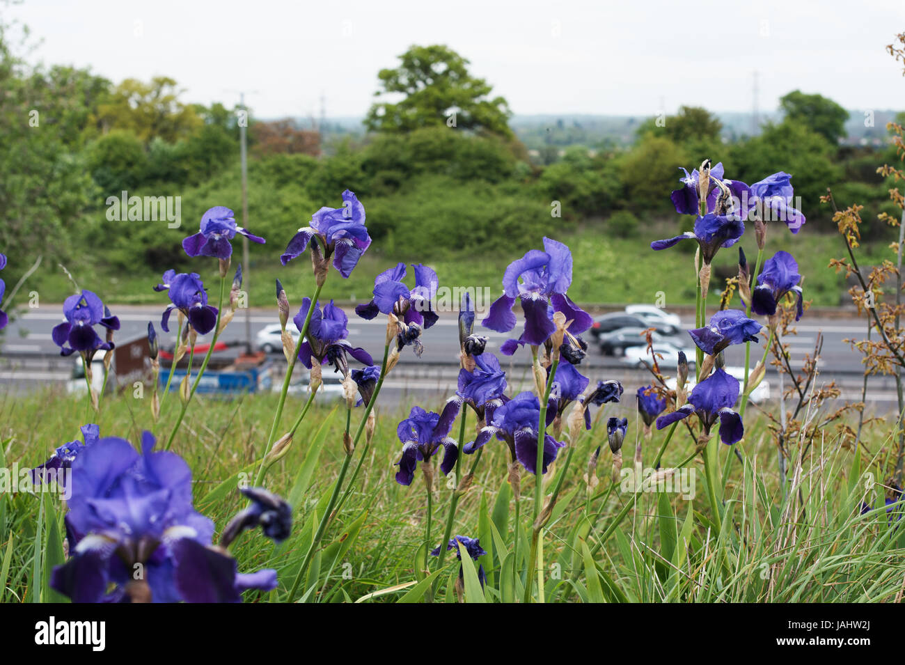 Motorway embankment hi-res stock photography and images - Alamy