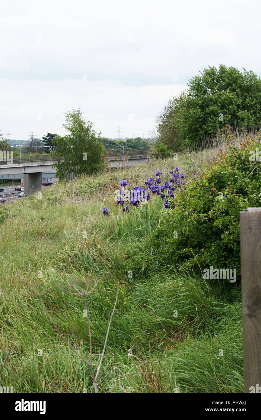 Motorway embankment hi-res stock photography and images - Alamy