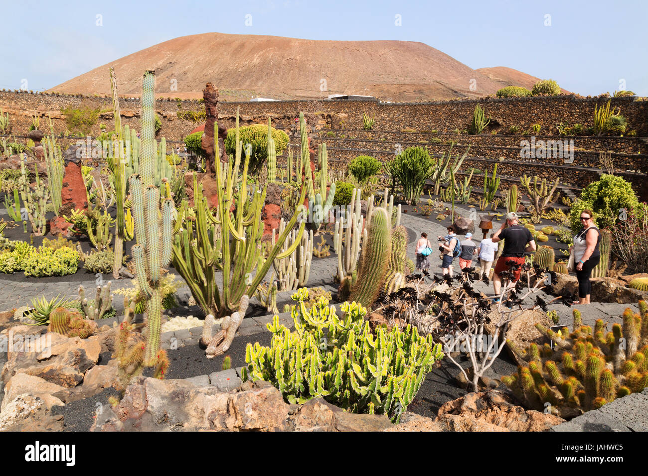 Lanzarote Cactus Garden or Jardin de Cactus, designed by local artist ...