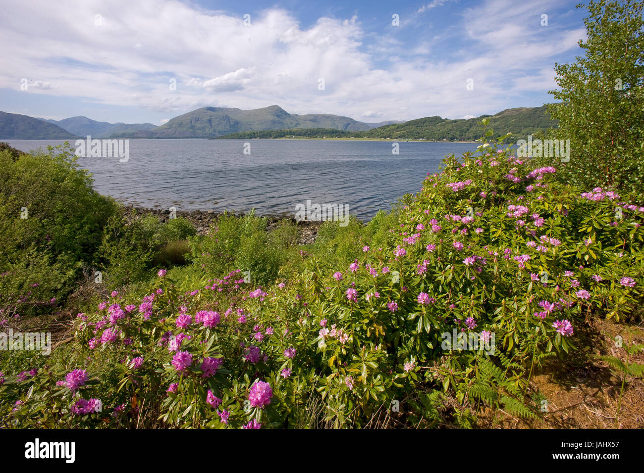 Morvern hills hi-res stock photography and images - Alamy
