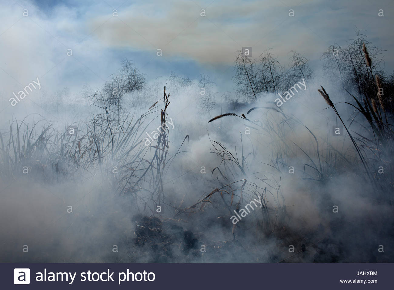 Billowing Smoke Stock Photos & Billowing Smoke Stock Images - Alamy