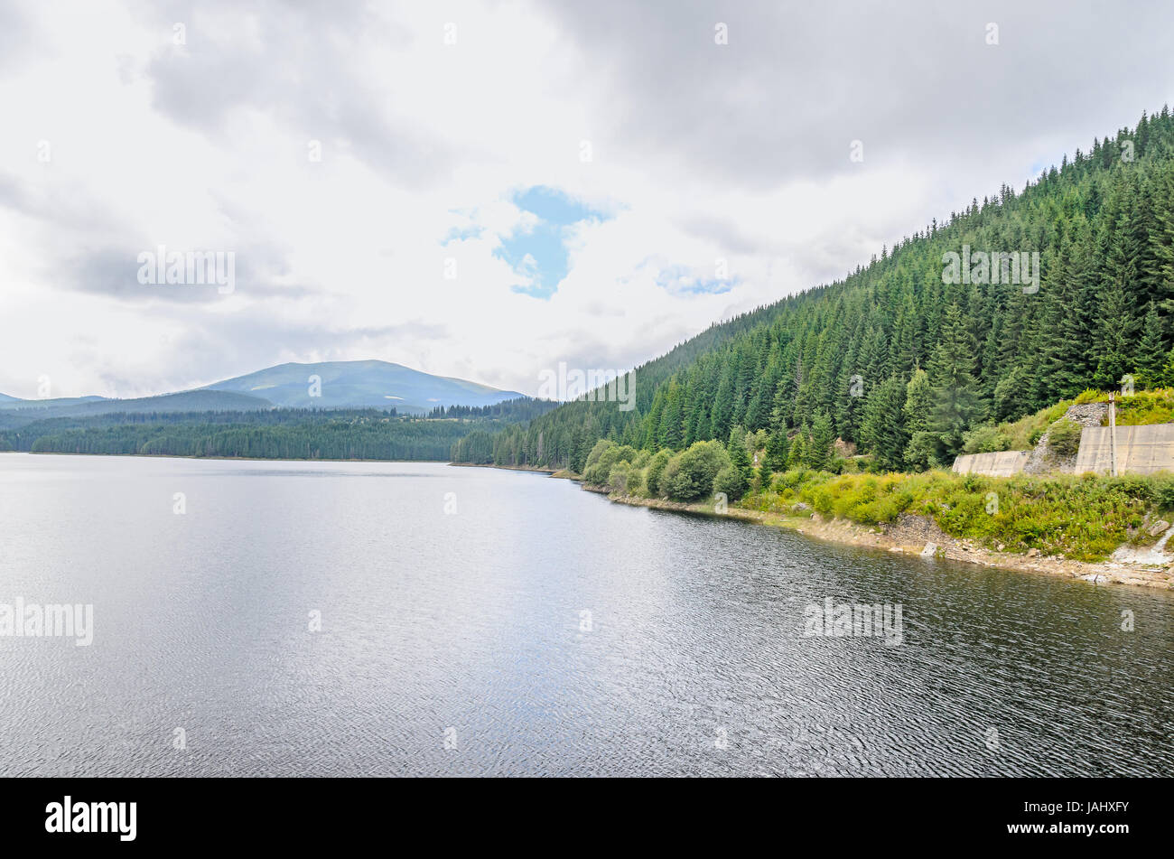 The dam and lake Oasa, river Sebes, pine forests, Sureanu Mountains ...