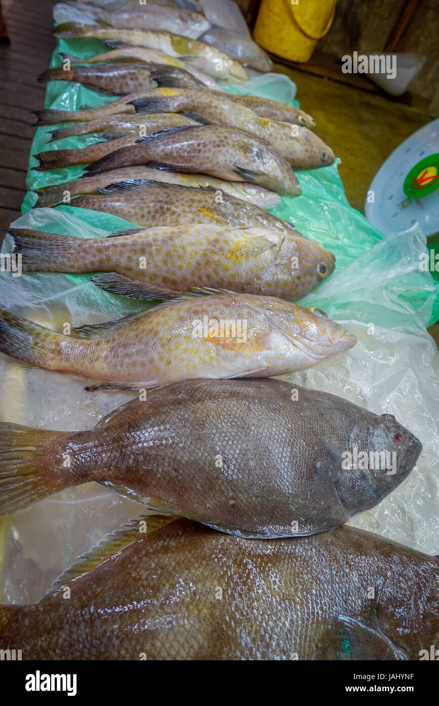 Closeup shot of fish in street market, Kuala Lumpur Stock Photo - Alamy