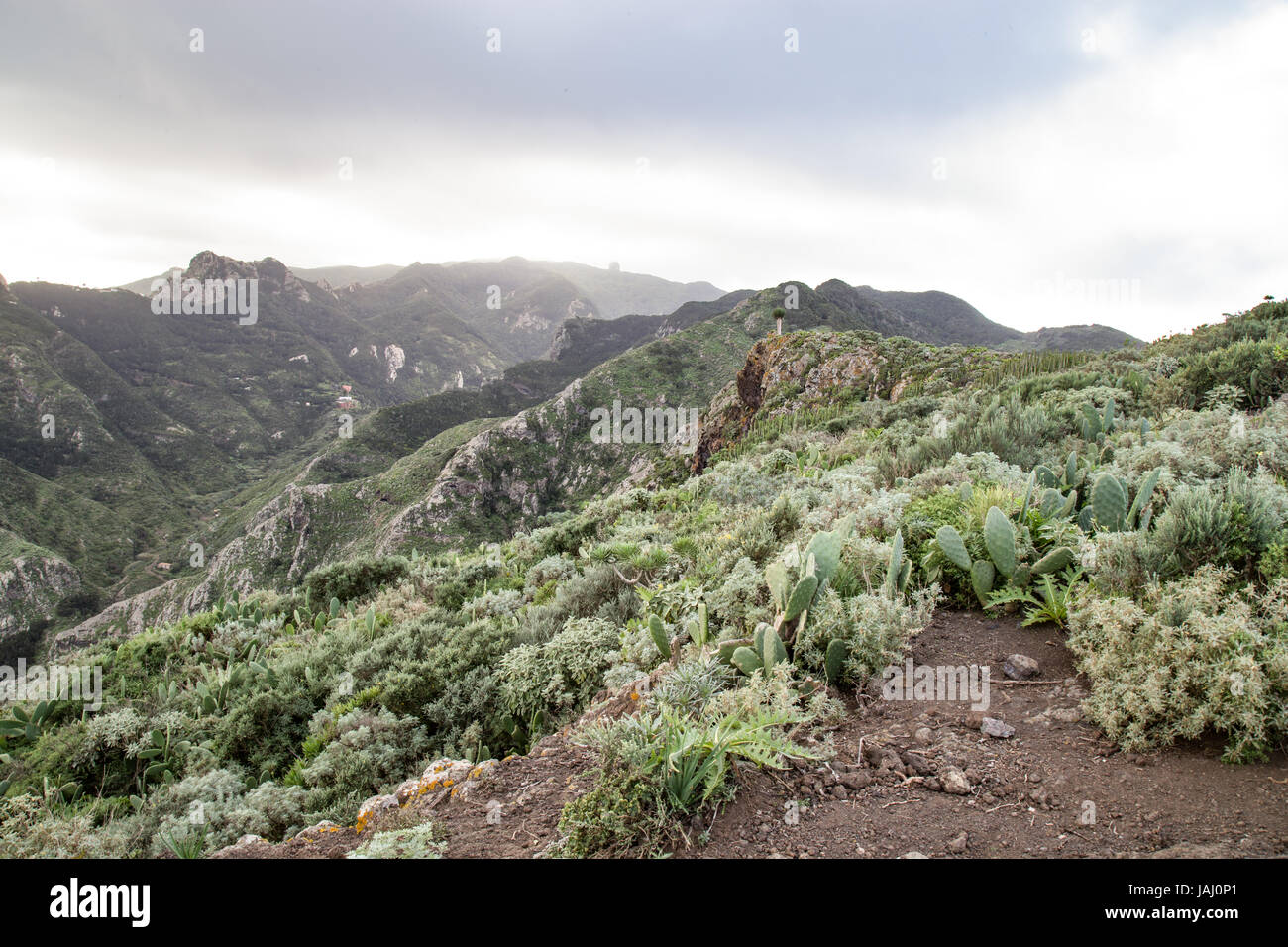 Los roques de anaga hi-res stock photography and images - Alamy