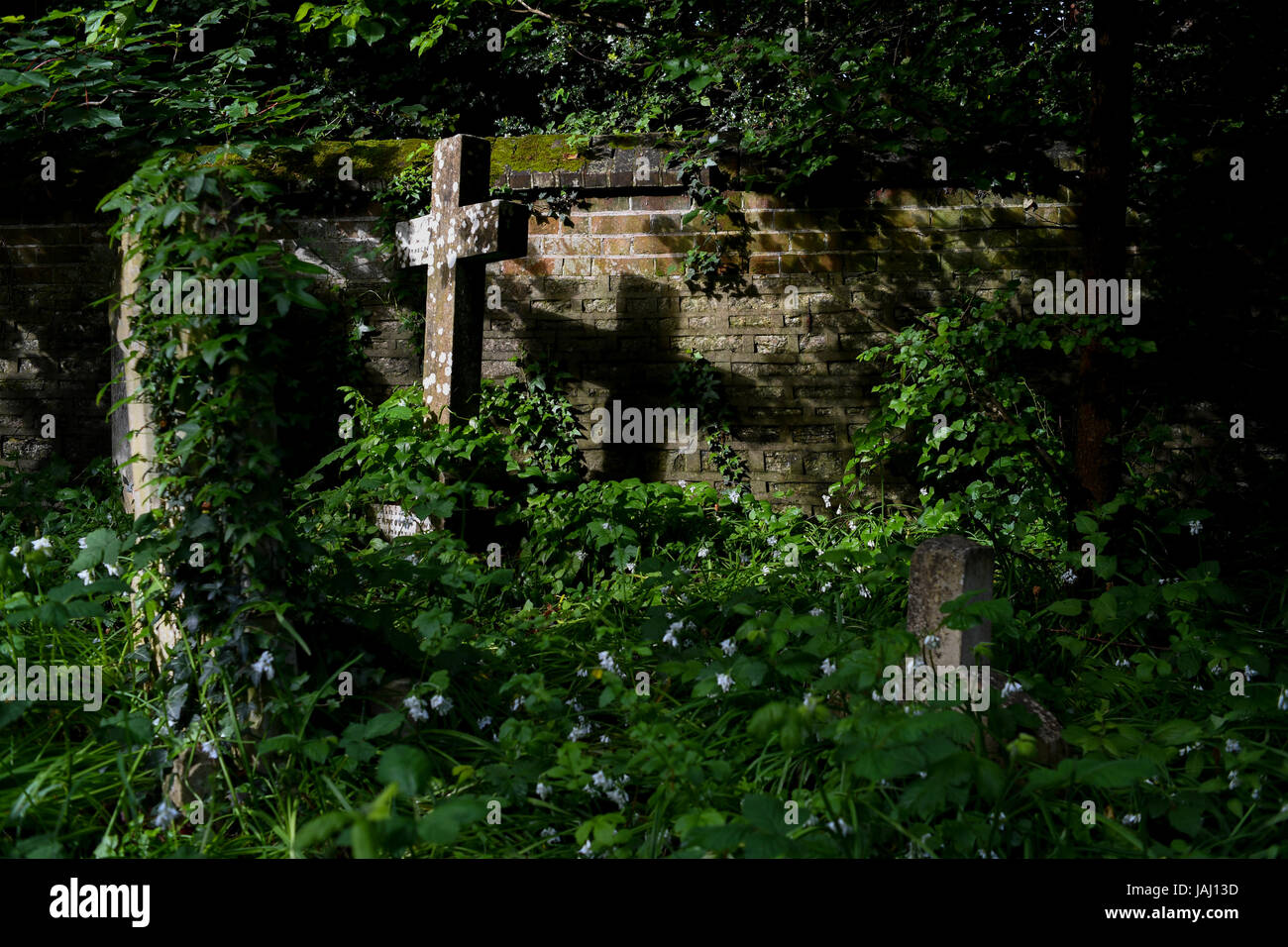 A shadow from a cross in an overgrown cemetery Stock Photo - Alamy