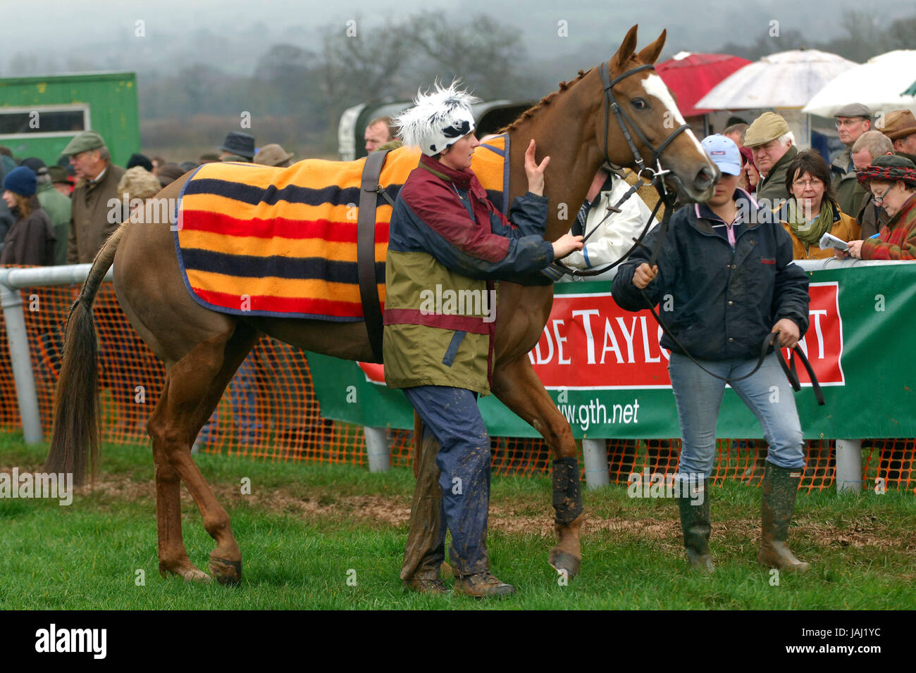 Quantock stag hounds hi-res stock photography and images - Alamy