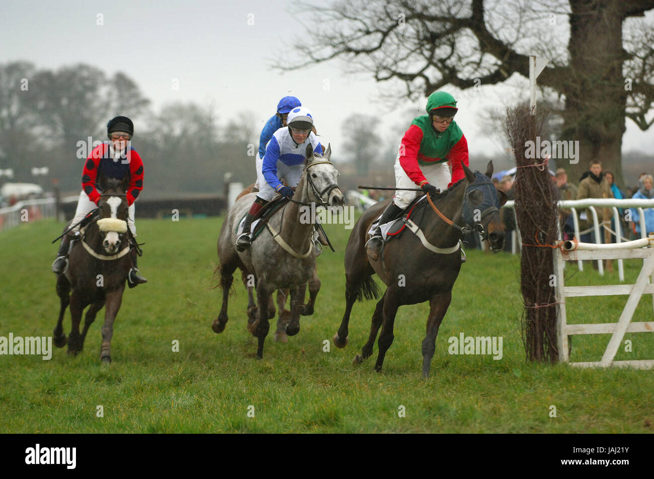 Quantock Stag Hounds High Resolution Stock Photography and Images - Alamy