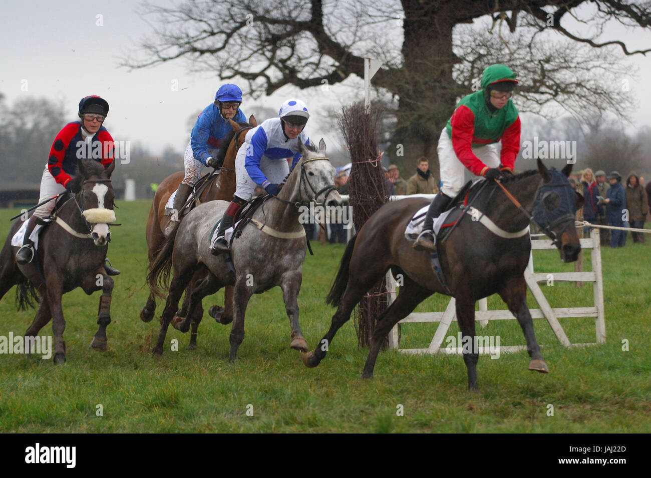 Quantock Staghounds Point-to-Point races at Cothelstone, Somerset, UK ...