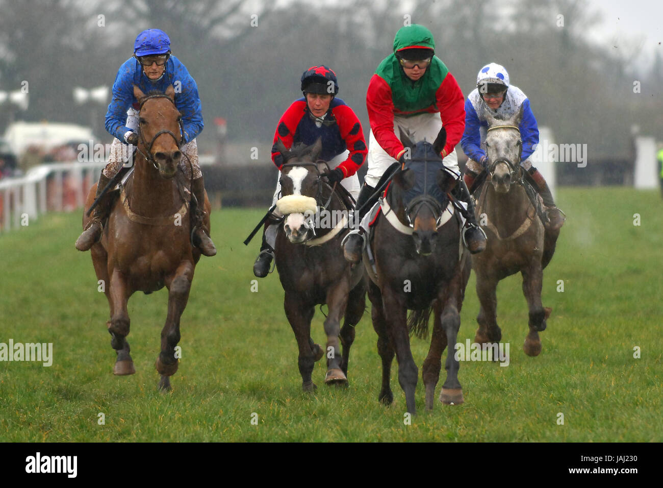 Quantock Staghounds Point-to-Point races at Cothelstone, Somerset, UK ...