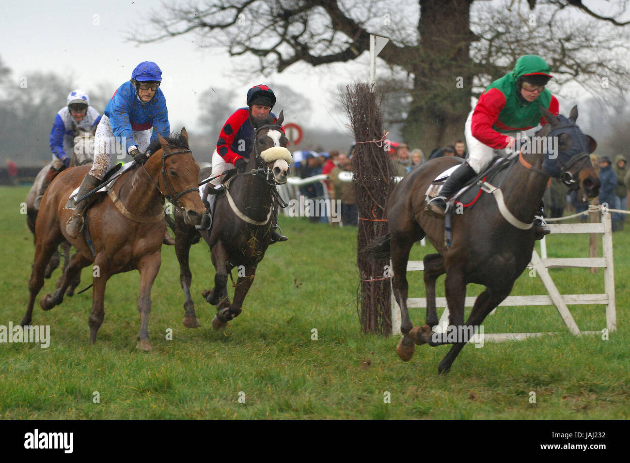 Quantock Staghounds Point-to-Point races at Cothelstone, Somerset, UK ...