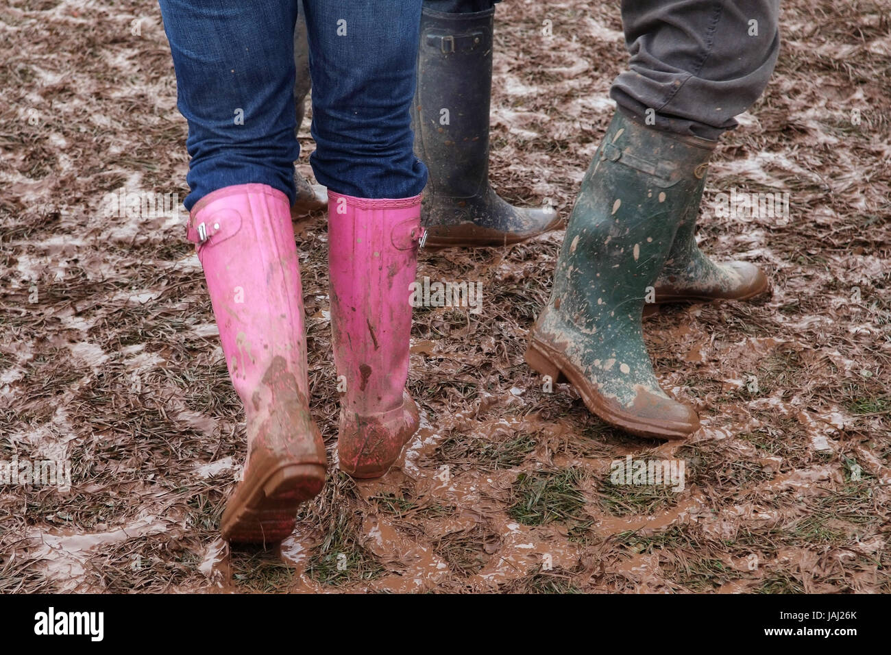 Quantock Staghounds Point-to-Point races at Cothelstone, Somerset, UK ...